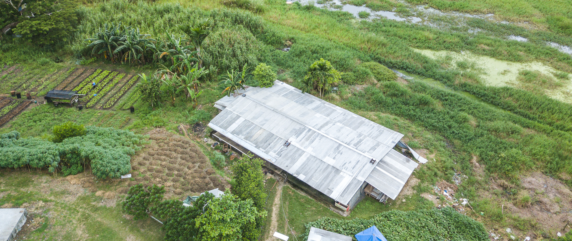 Transparency in agriculture: A key to successful climate action | UNDP ...