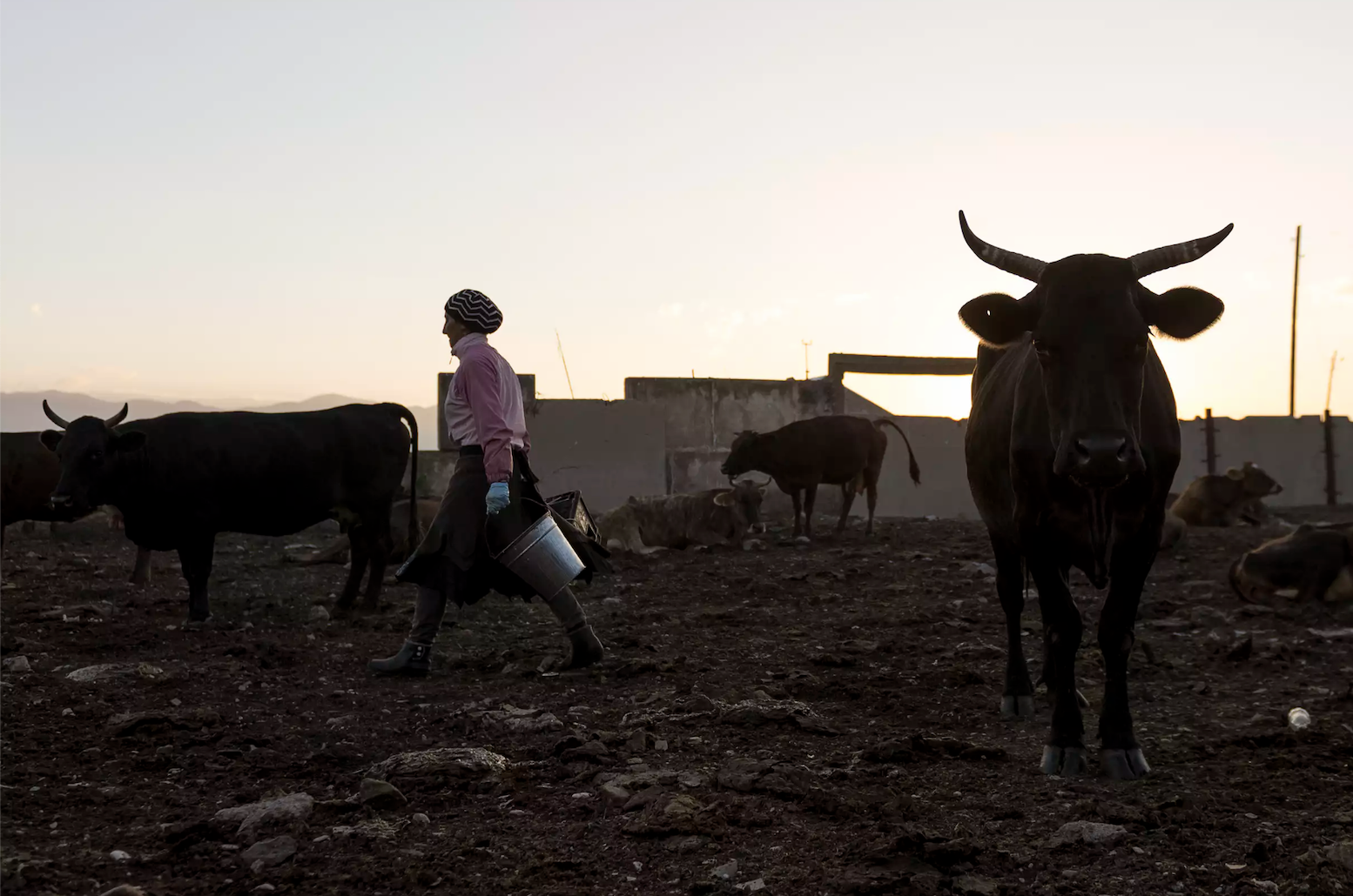 Highlights from the Inception Workshop of Armenia's NAP project | UNDP ...