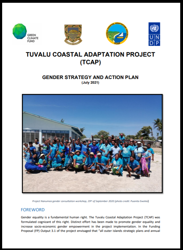 Gender Strategy and Action Plan | TCAP | July 2021 | UNDP Climate ...