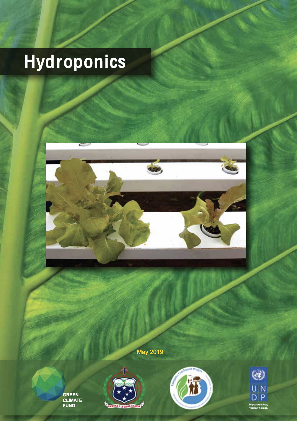 Brochure | Hydroponics | Vaisigano Catchment Project | 2019 | UNDP ...