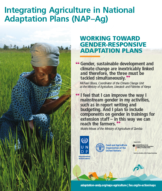 Working toward gender-responsive adaptation plans - NAP-Ag Poster ...
