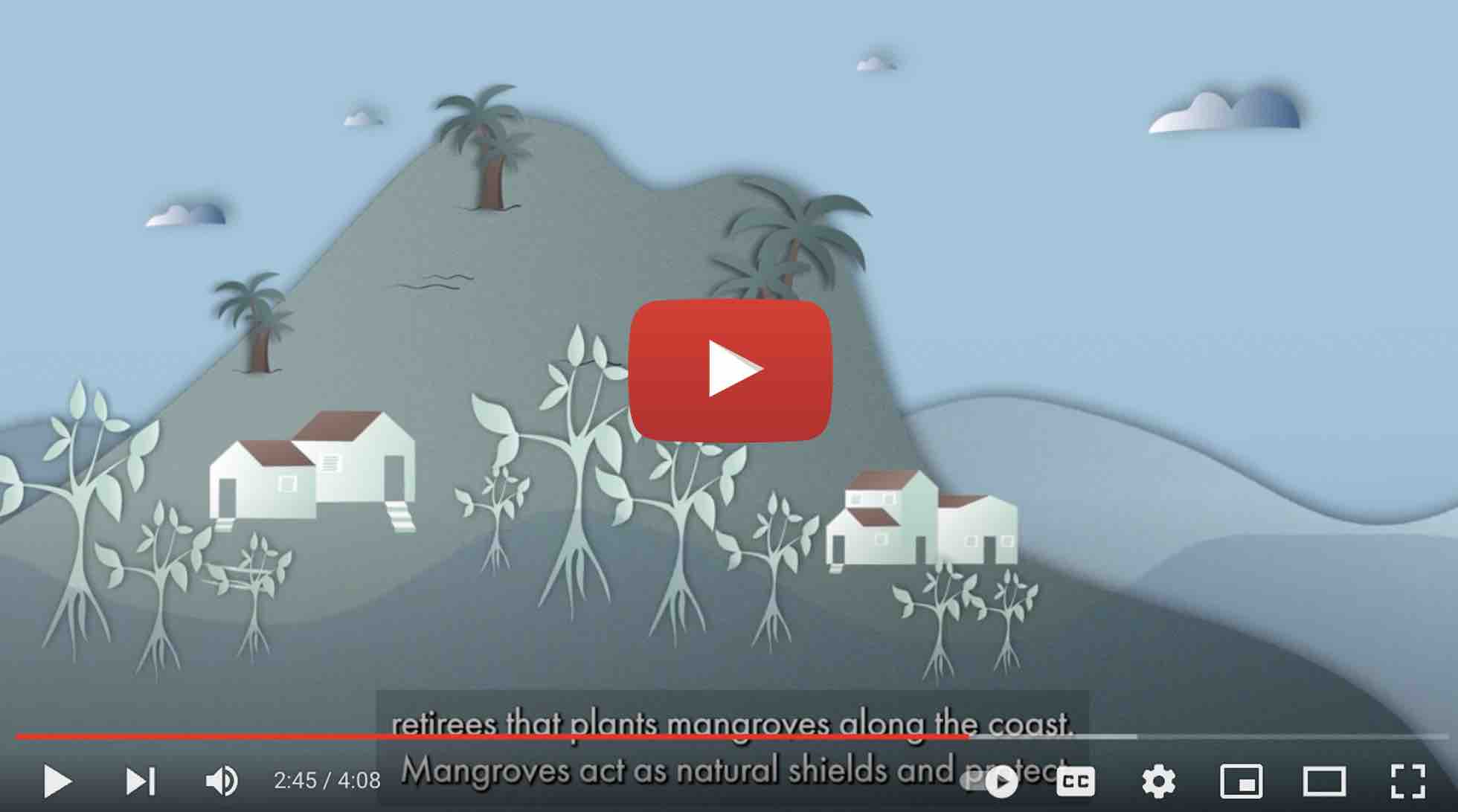 Video Ecosystem Based Adaptation Supplementary Guidelines For Naps