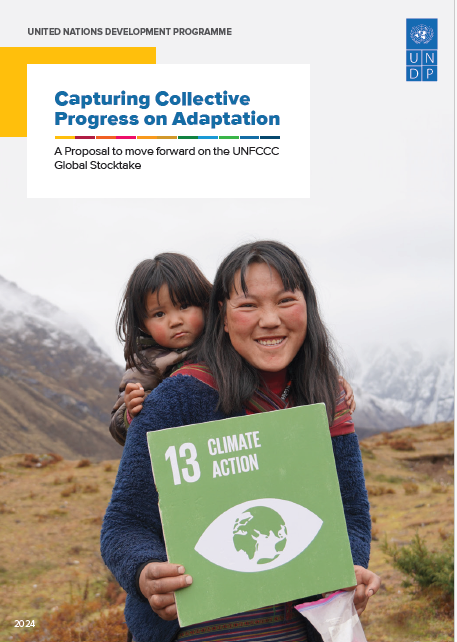 Capturing Collective Progress on Adaptation: A Proposal to move forward ...
